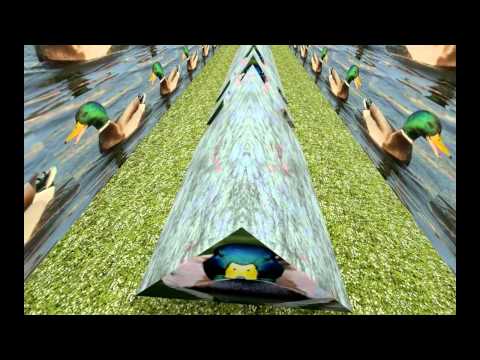 Steam Community :: Video :: surf_life_of_duck speedrun