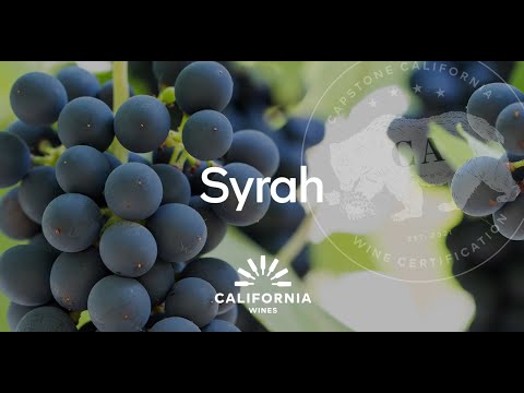 Capstone California Level 1 Chapter 4 Tasting Syrah