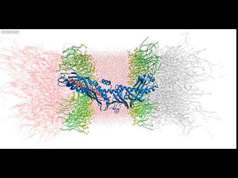 Tunnel Mechanism of CETP by All-atom MD Simulations
