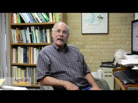 AgriLife Research looks at practicality of drone use in ranching