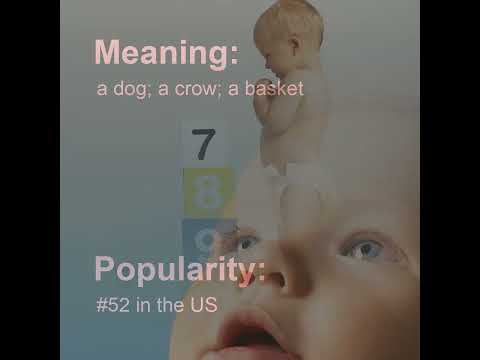 Caleb Baby Name Meaning, Origin and Popularity, by SleeplessParent.com