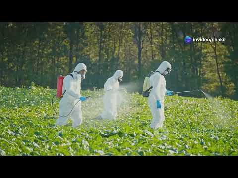Unlocking the Secrets of Mixed Farming in loe Land