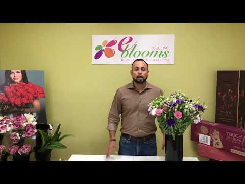 Lisianthus Care and Handling Tutorial - EbloomsDirect