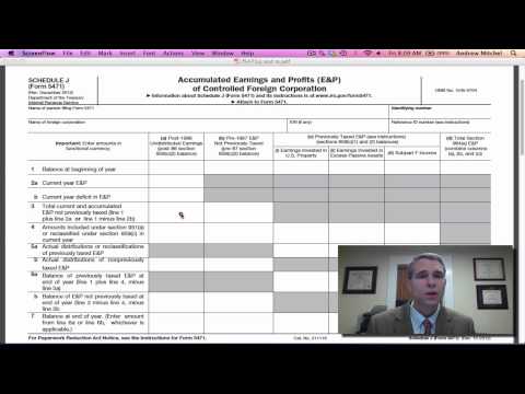 Form 5471, Schedule J