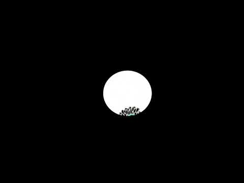 Spotlight Animation