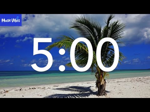 5 MINUTE TIMER with Soothing Latin Beat Music (Clock changes every 15 seconds) - Relax, Study