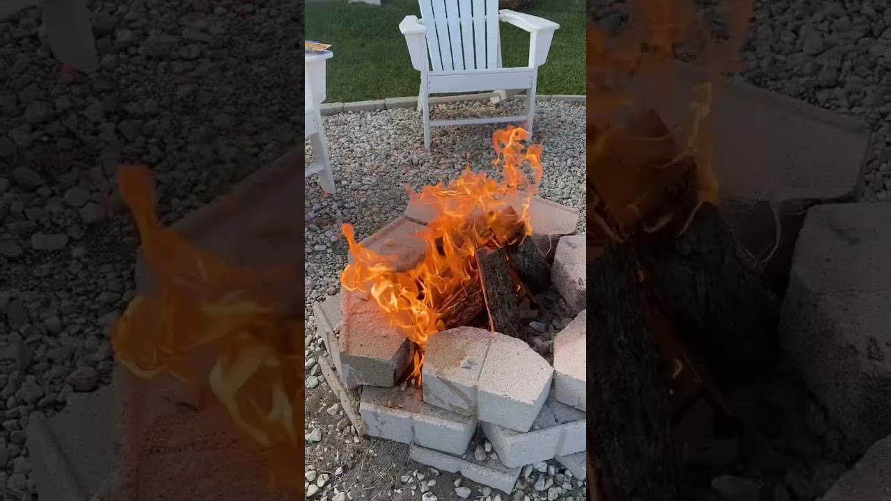 Fire Ants VS Fire! 🔥🐜 #shorts