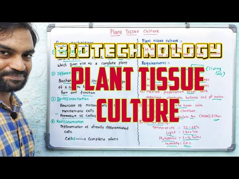 Plant Tissue Culture | Biotechnology