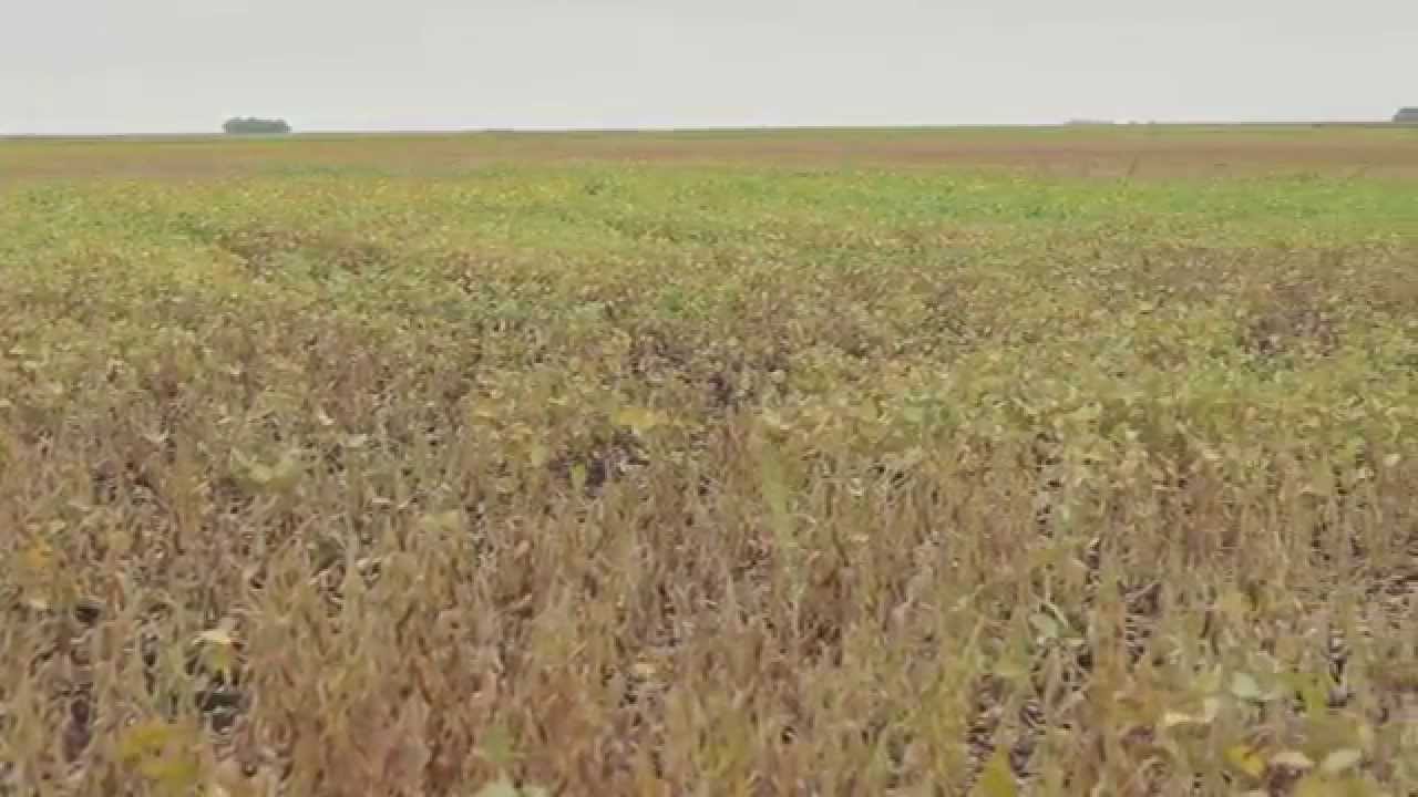 Crop Response to Salinity