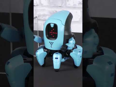Meet your new AI robot companion! #robottoy