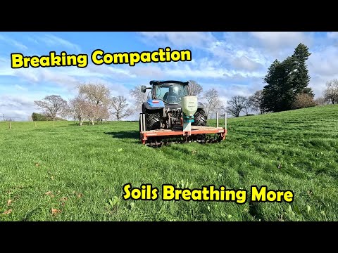 Try Before I Buy - Spikey Aerator Trial.