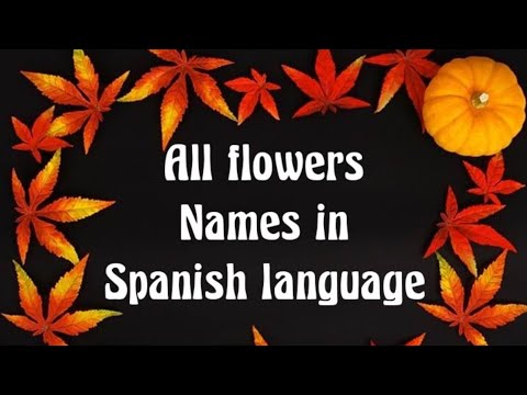 Flowers names in English to Spanish language