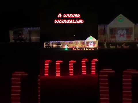 Holiday Decorations | Dachshund Yard Display #shorts #decoration #dogs #christmas