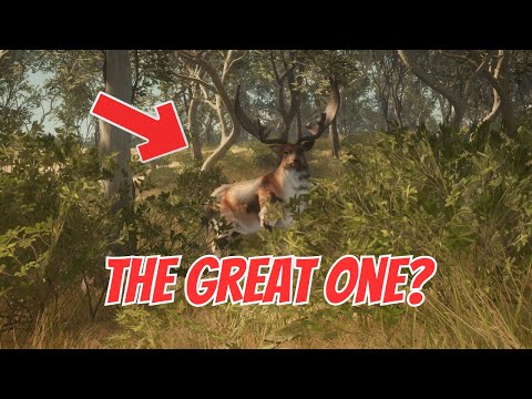 Steam Community :: Video :: Hunter call of the wild - My first "Great ...