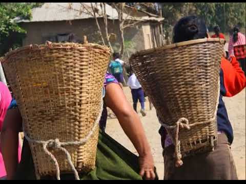 Rights of Indigenous People and U.N.
