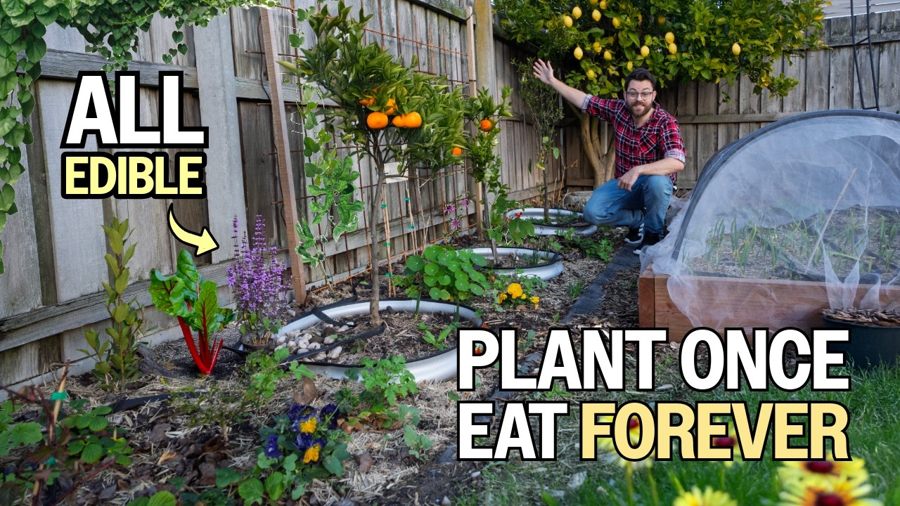 Building A TINY Food Forest In My Backyard