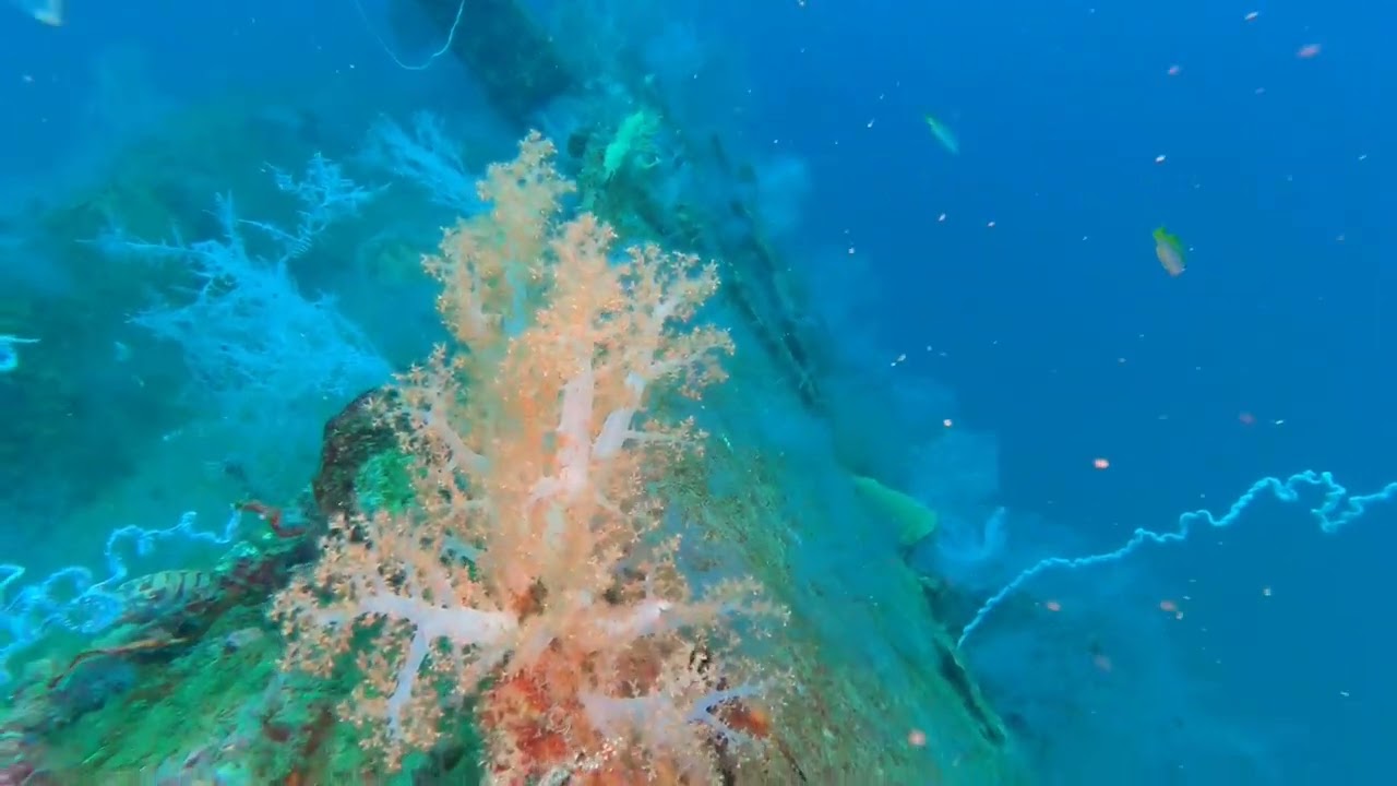Subic Bay Wreck Diving Sites | Maps, History and Dive Information