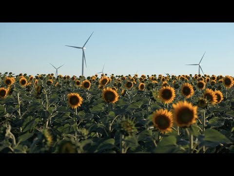 Science Based Targets: Sign up and become part of the future (short version)