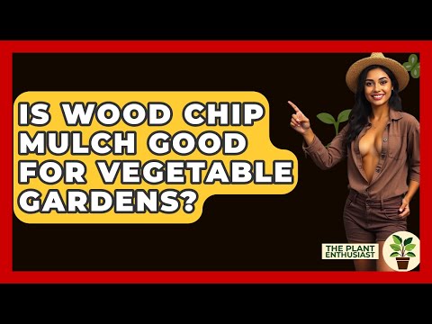 Is Wood Chip Mulch Good For Vegetable Gardens? - The Plant Enthusiast