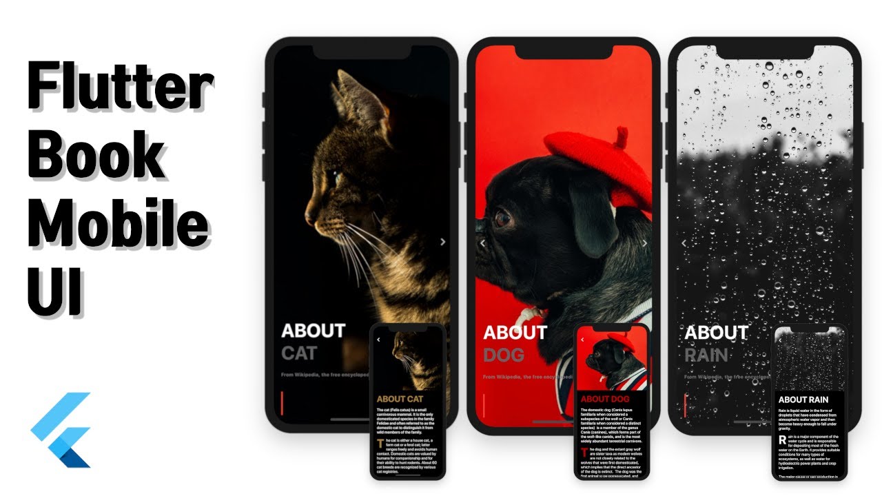 Flutter Book Mobile UI - Speed Code