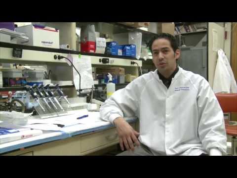 The Oral Health Sciences DDS-PhD Program at U of M School of Dentistry