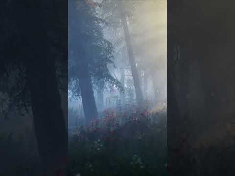 💤 Best cure for insomnia, beautiful relaxing sleep music #relaxingmusic #meditation #shorts