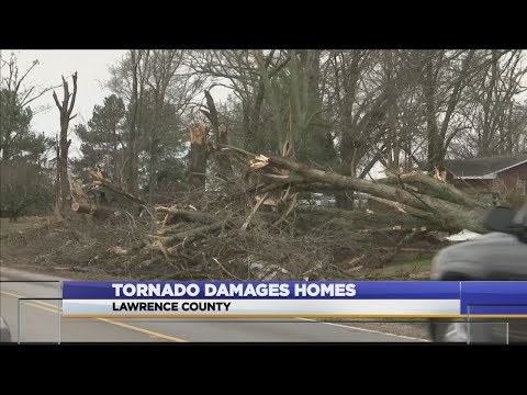 Town Creek, Alabama’s Ryan Nobriga arrested in Cullman; Did he give a ...