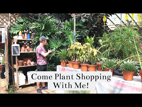 Come Plant Shopping With Me! #PlantShopHop To 5 Different Nurseries