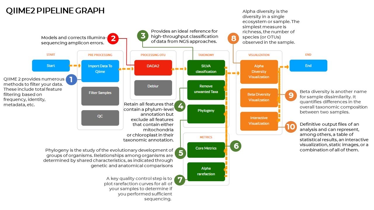 Metagenomic data analysis on T-Bioinfo Server using DADA2 & QIIME2 pipeline: Sequencing & Analysis