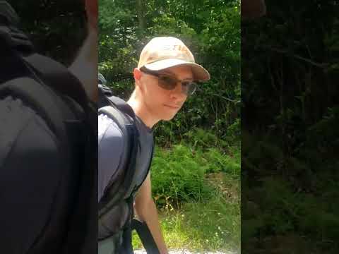 Appalachian Trail- Hertlein Campsite II