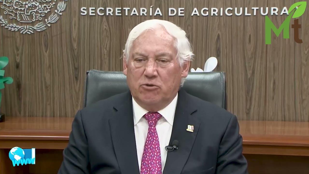 México, referente mundial en el cultivo y exportación de jitomate