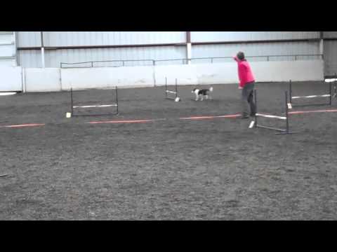 Sinner Elite Chances India 2 26 12 Broadband