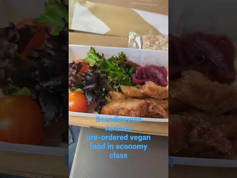SAS pre-ordered vegan food on my flight from Florence to Copenhagen