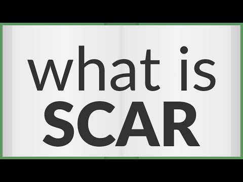 Scar | meaning of Scar