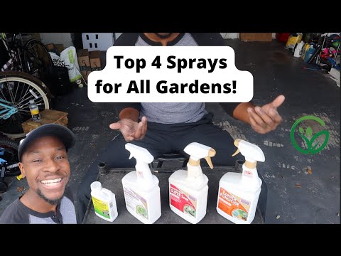 Top 4 Organic Sprays for Pests, Powdery Mildew and More!