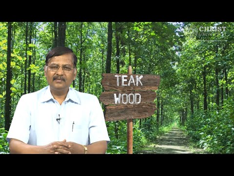 Endangered and endemic species of India