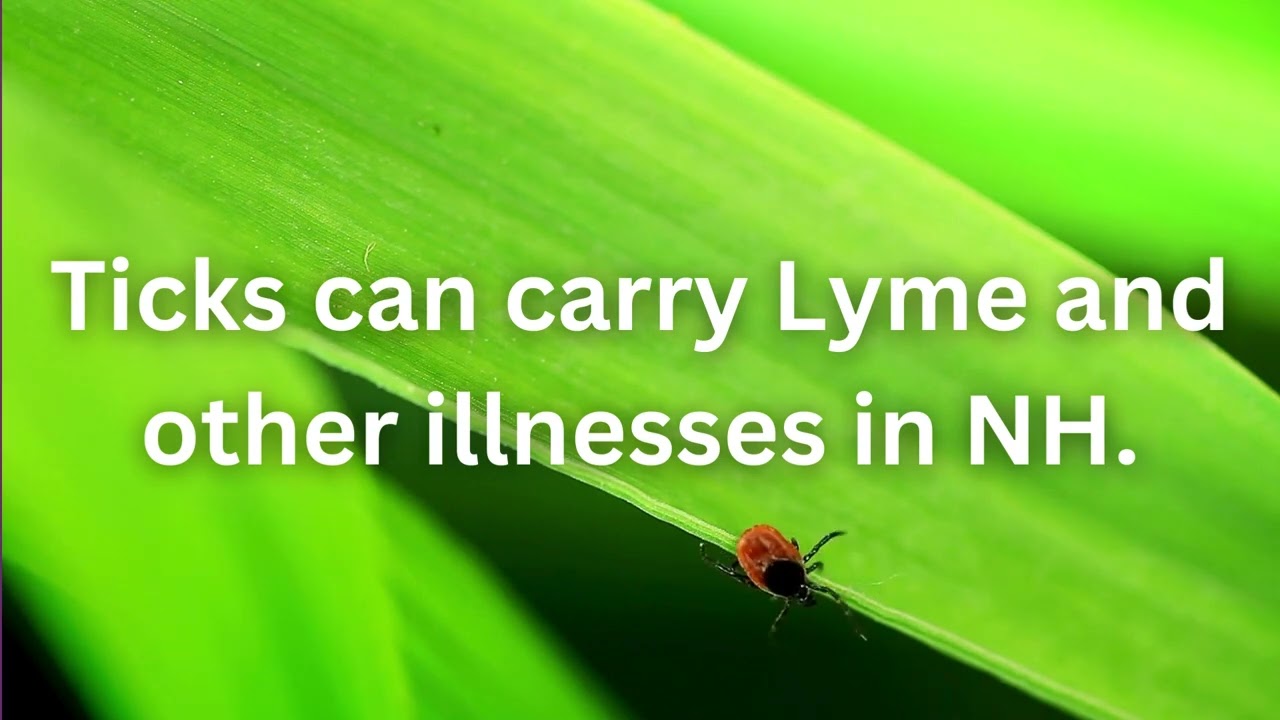 Tick Free Tips for Outdoor Workers