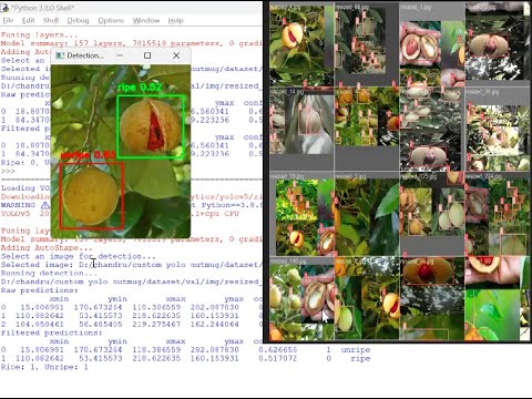 Identification of Mature Level and Count of Nutmeg Using Color Space Segmentation Algorithm | Aislyn