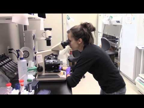 Maintaining T cell polyfunctionality