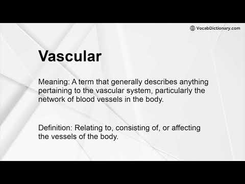 Vascular Meaning