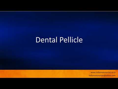 Pronunciation of the word(s) "Dental Pellicle".