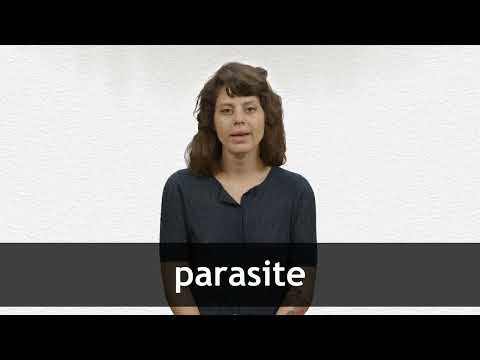 English Translation of “PARASITE” | Collins French-English Dictionary