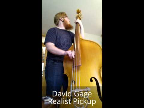 Fishman C-100-Pickup iMuso