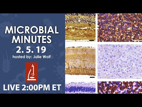 Health-promoting gut microbiota and a virus that attacks cancer - Microbial Minutes