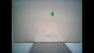 Japanese scientists' 'insect death ray' can zap cockroaches with ...