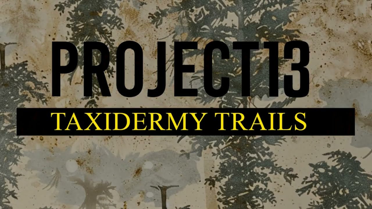 Buy Cheap Project 13: Taxidermy Trails Playstation 4 Keys from $2.16 🔥 ...
