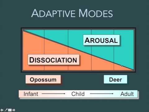 Teaching Tuesday: Dr. Bruce Perry, Threat Response Patterns
