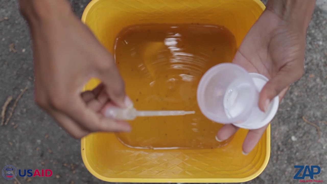 How to Identify Mosquito Breeding in Containers
