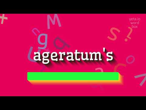 How to say "ageratum's"! (High Quality Voices)