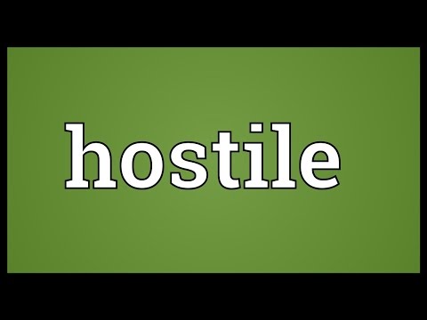 Hostile Meaning